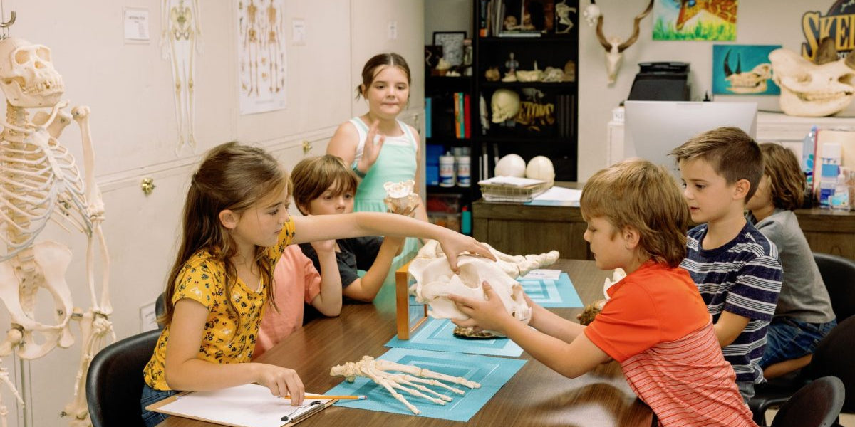 Bones & Beyond: Exploring the Skeleton Museum — Skulls Unlimited ...