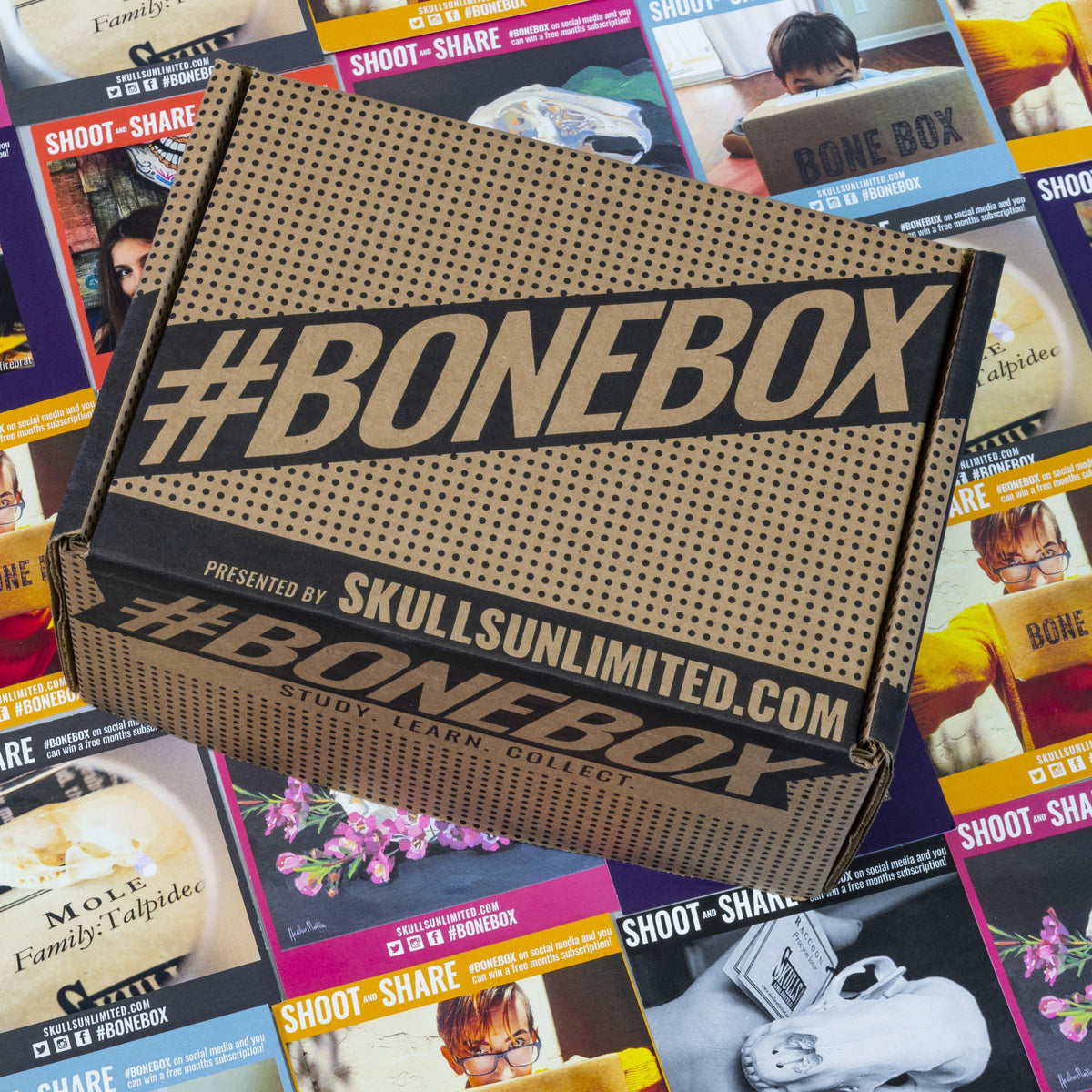 Last Call! — Skulls Unlimited International, Inc.