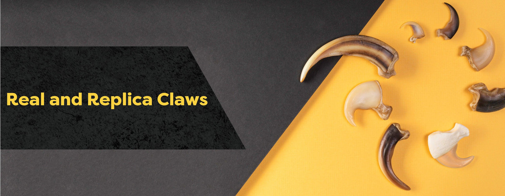 Real and Replica Claws — Skulls Unlimited International, Inc.