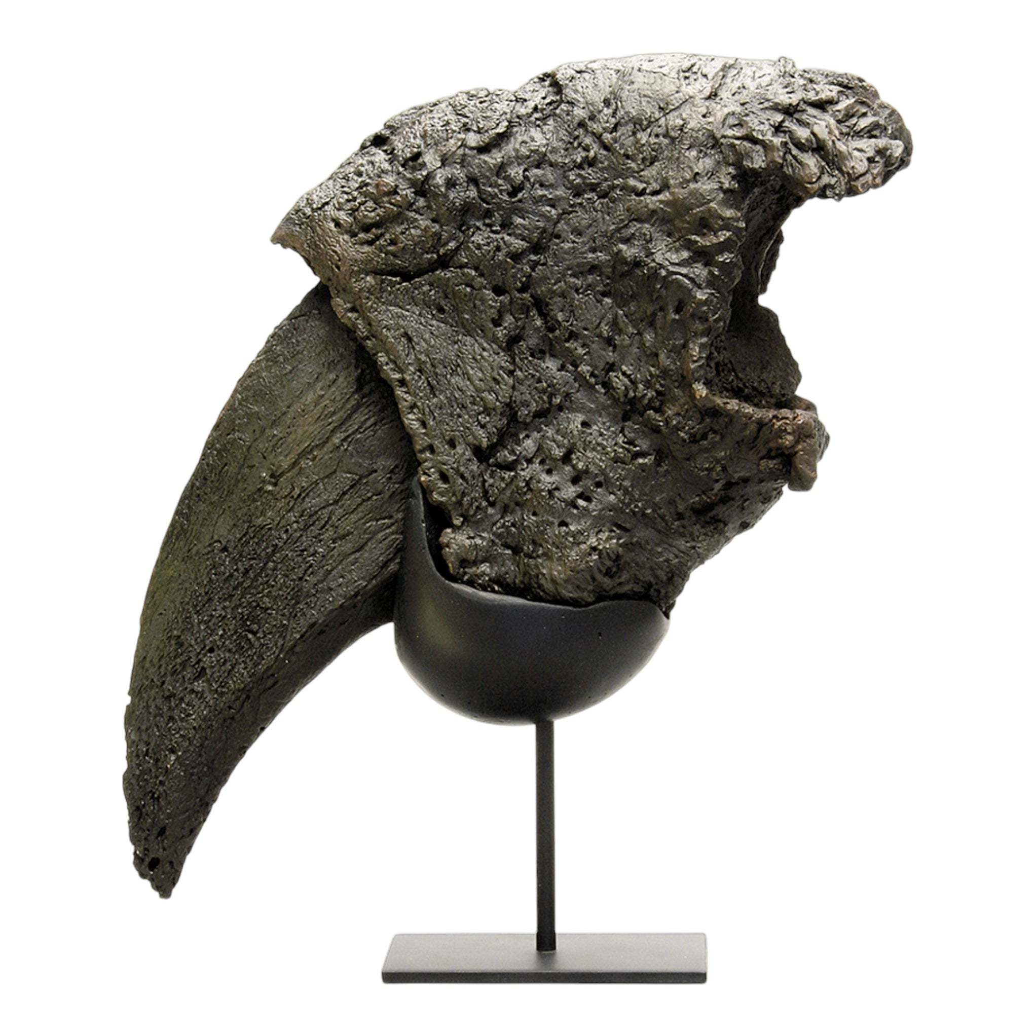 Replica Giant Ground Sloth Claw On Stand For Sale — Skulls Unlimited ...
