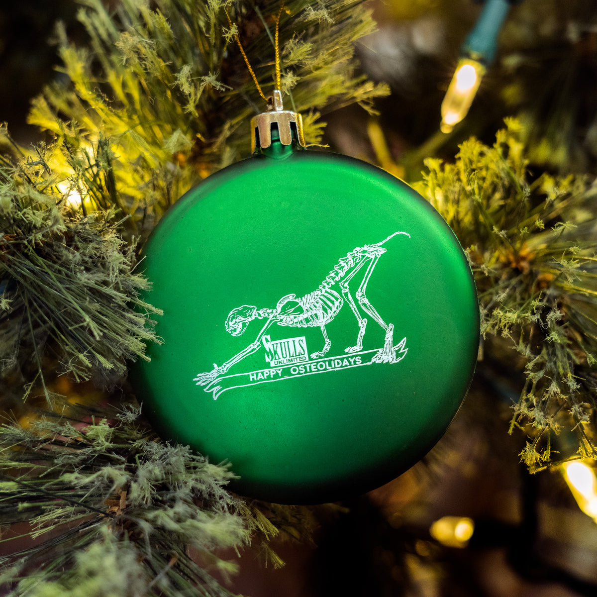 Skulls Unlimited Wild Cat Skeleton Ornament For Sale — Skulls Unlimited ...