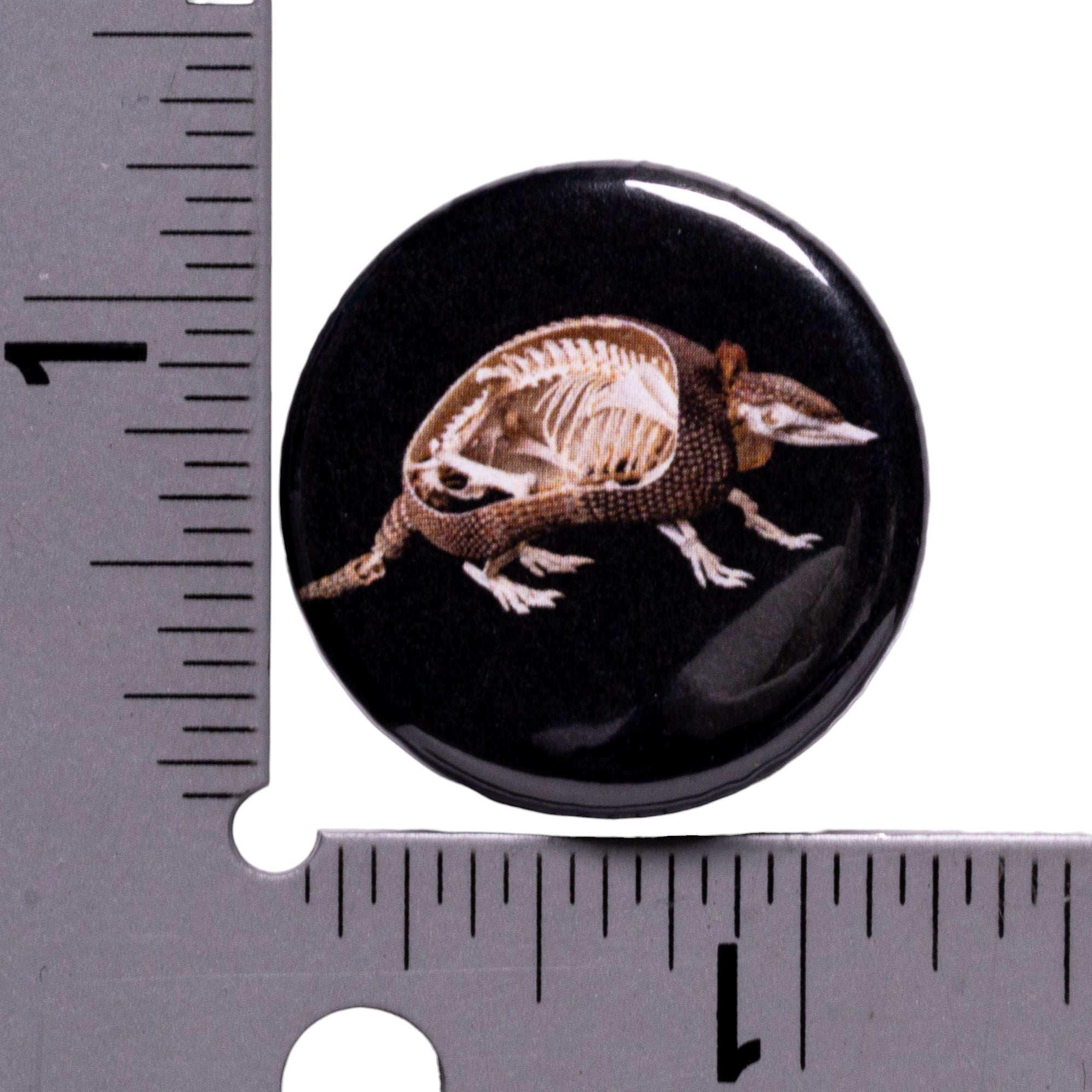 Skulls and Skeletons Button For Sale — Skulls Unlimited International, Inc.