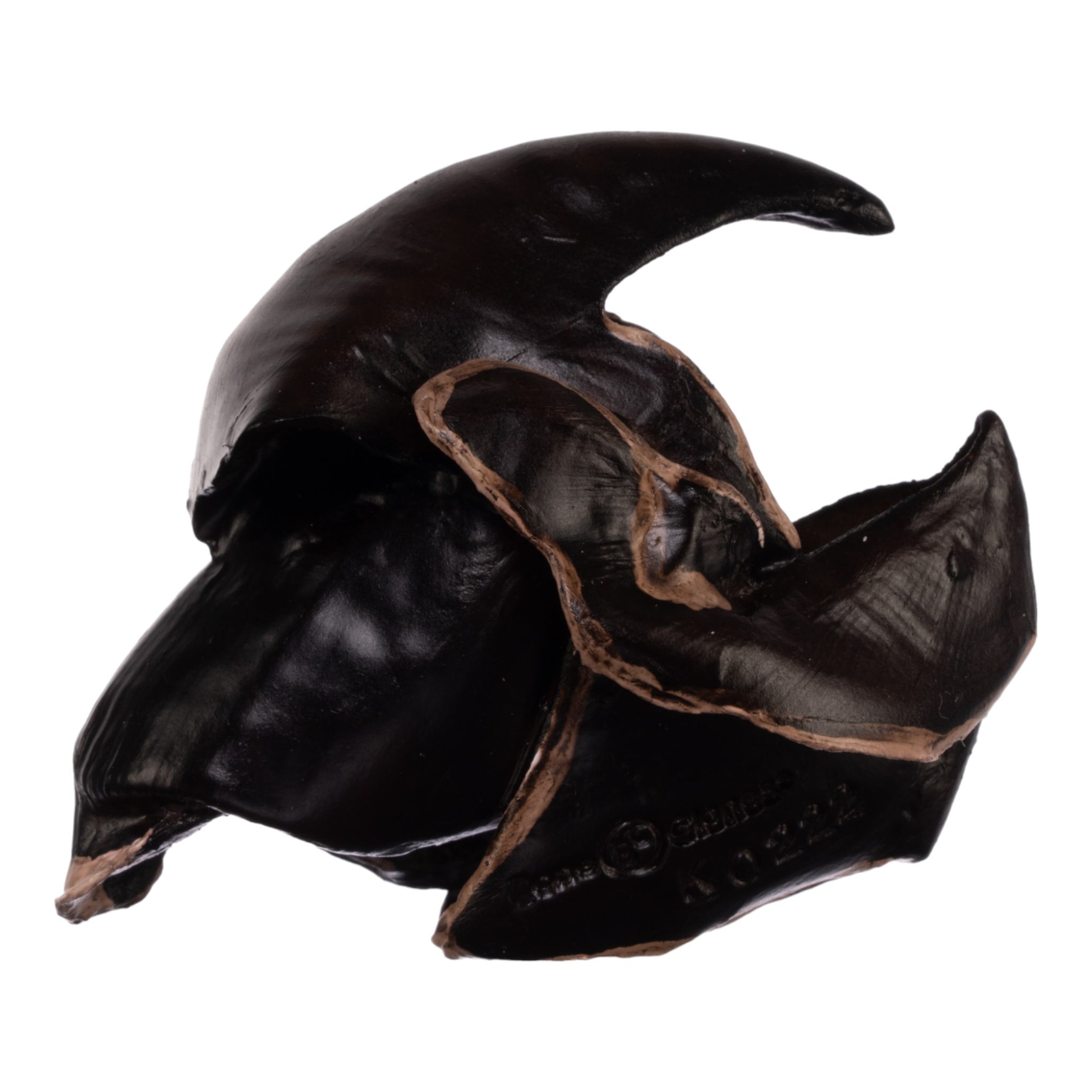 Replica Giant Squid Beak For Sale — Skulls Unlimited International, Inc.