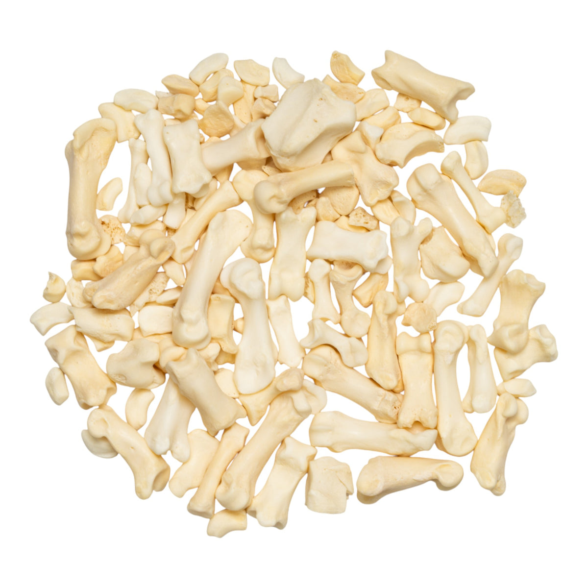 Real Bag-O-Miscellaneous Bones For Sale — Skulls Unlimited ...