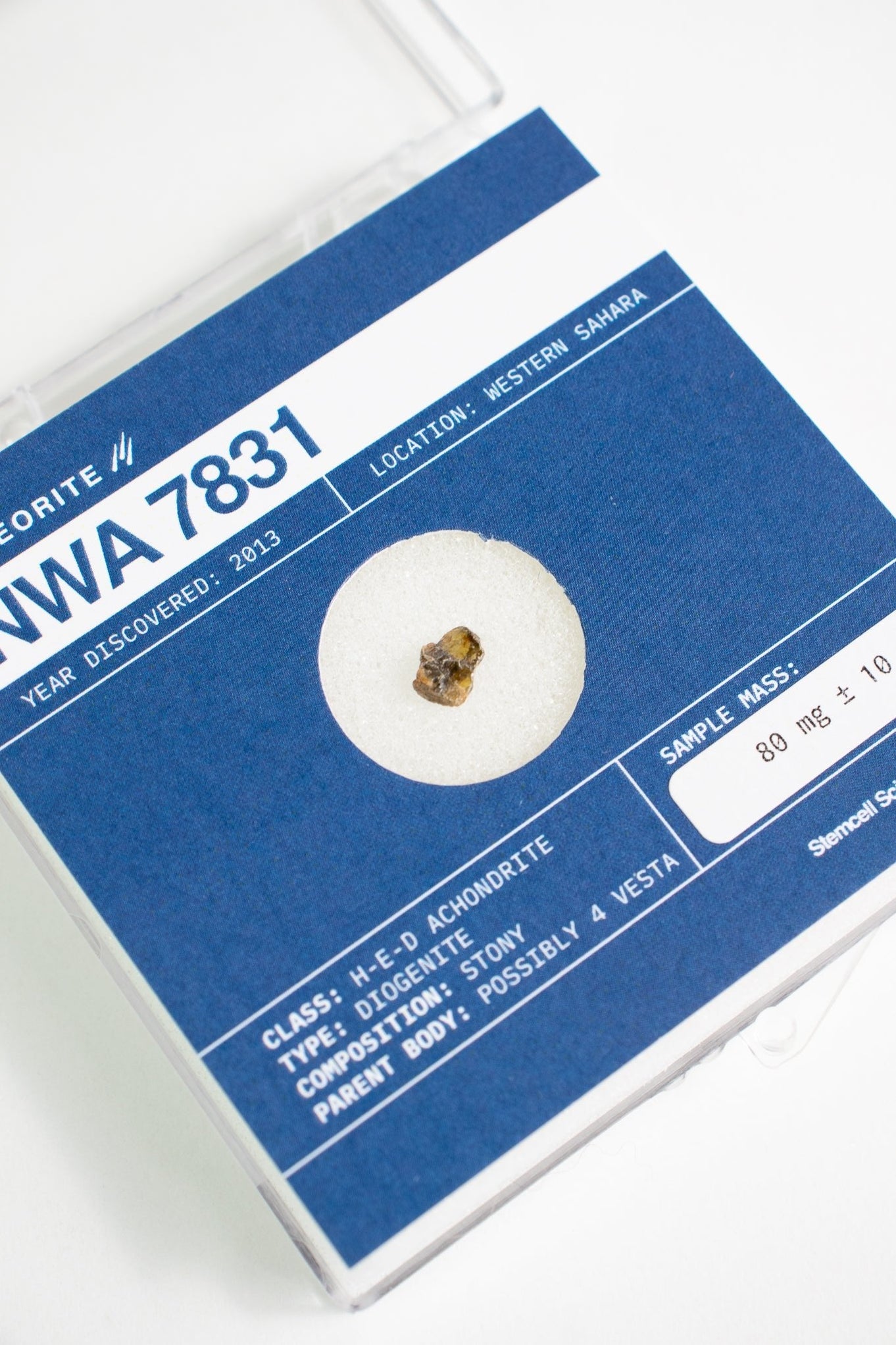 Asteroid 4 Vesta Meteorite For Sale — Skulls Unlimited International, Inc.