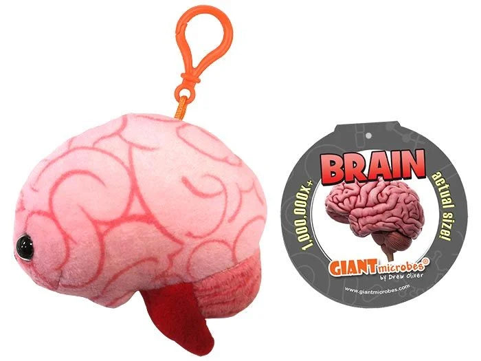 Giant Microbes Brain Keychain For Sale — Skulls Unlimited International ...