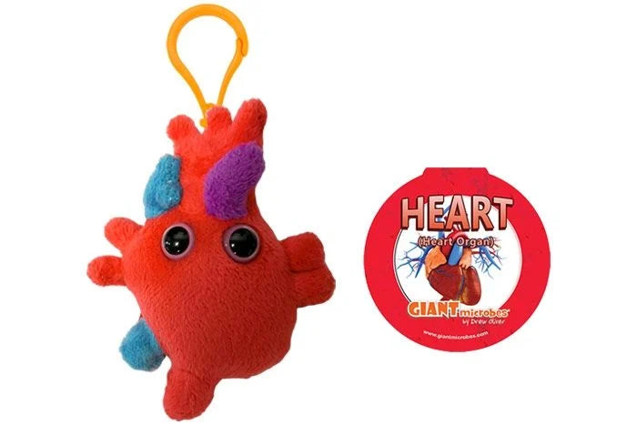 Giant Microbes Heart Organ Keychain For Sale — Skulls Unlimited ...