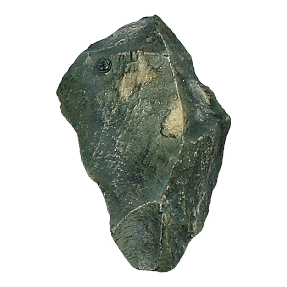 Replica Oldowan Hand Axe For Sale — Skulls Unlimited International, Inc.