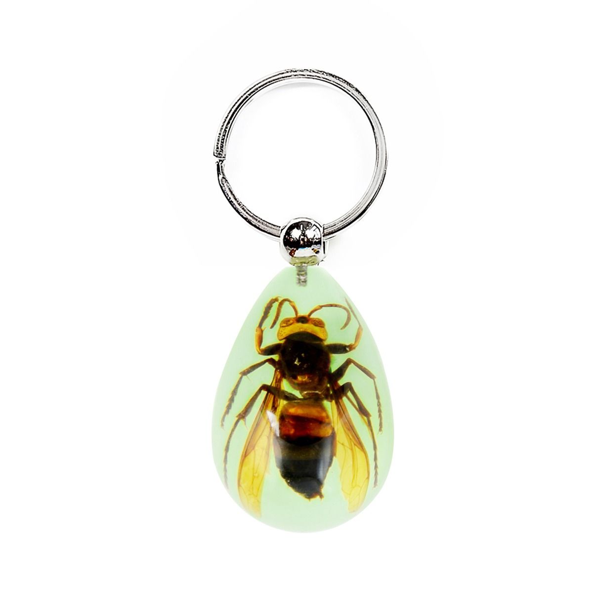 Real Wasp in Acrylic Teardrop Keychain (Glow-In-The-Dark) For Sale ...