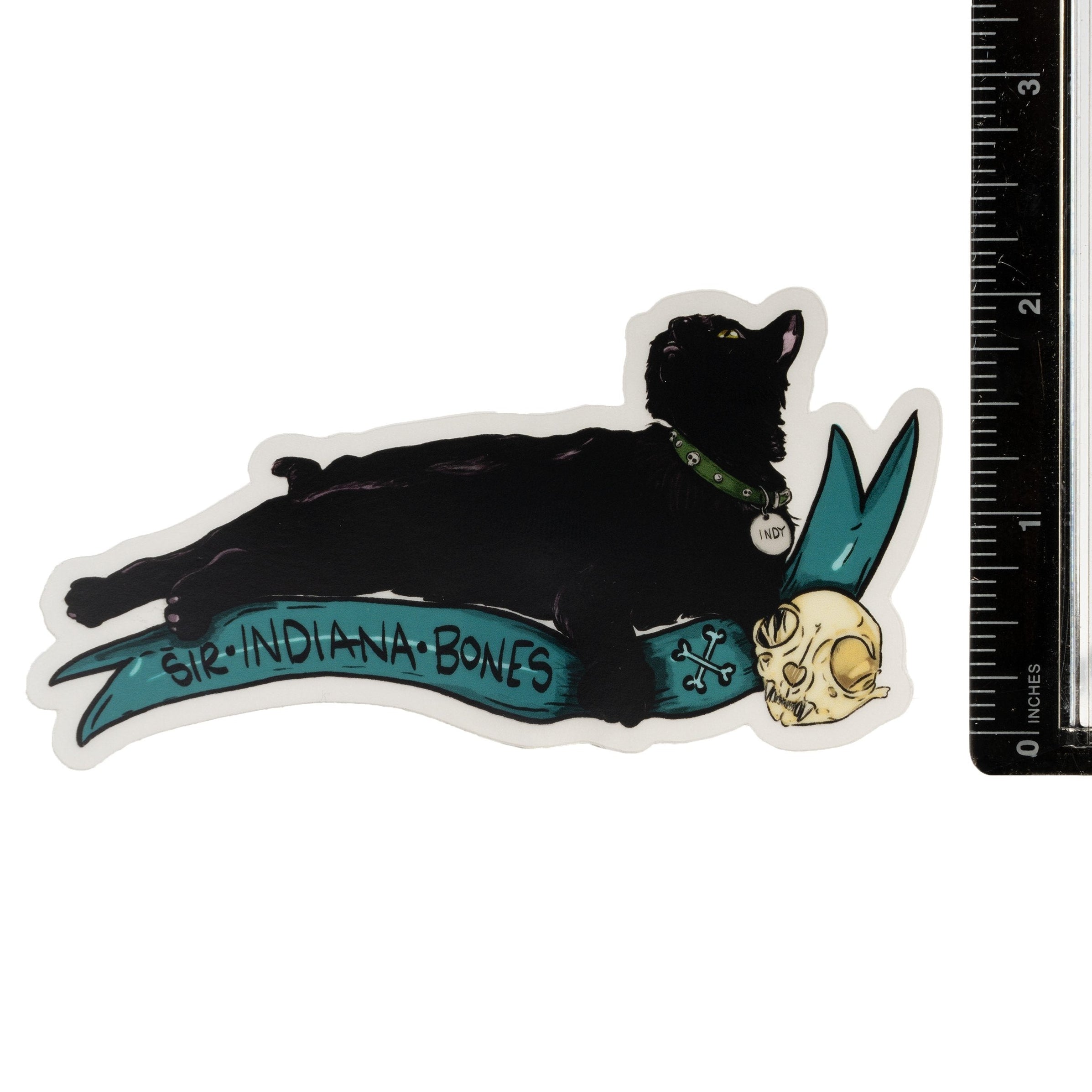 Sir Indiana Bones Cat Skull Sticker For Sale — Skulls Unlimited ...