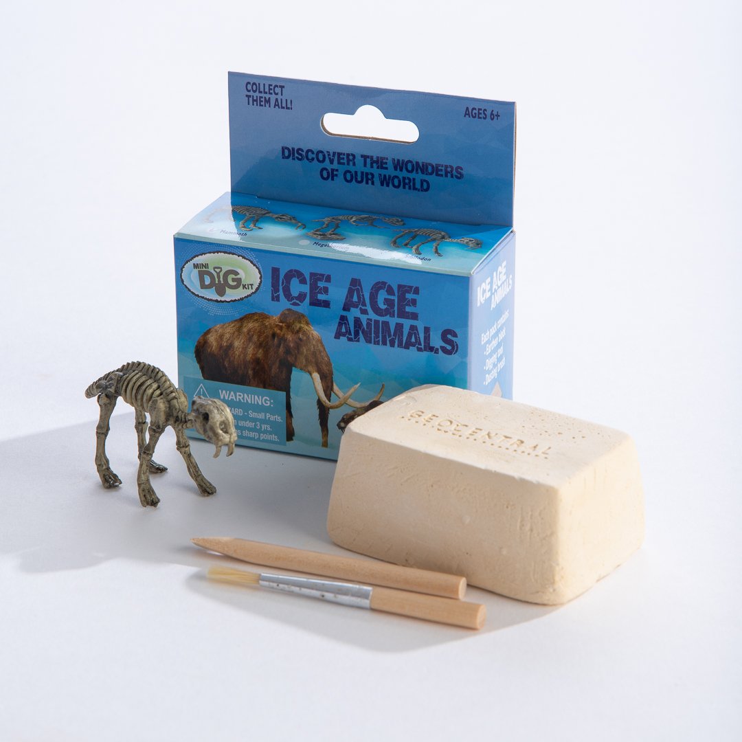 Ice Age Animals Dig Kit For Sale — Skulls Unlimited International, Inc.