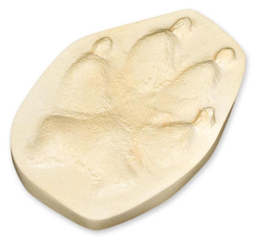 Gray Wolf Footprint For Sale — Skulls Unlimited International, Inc.
