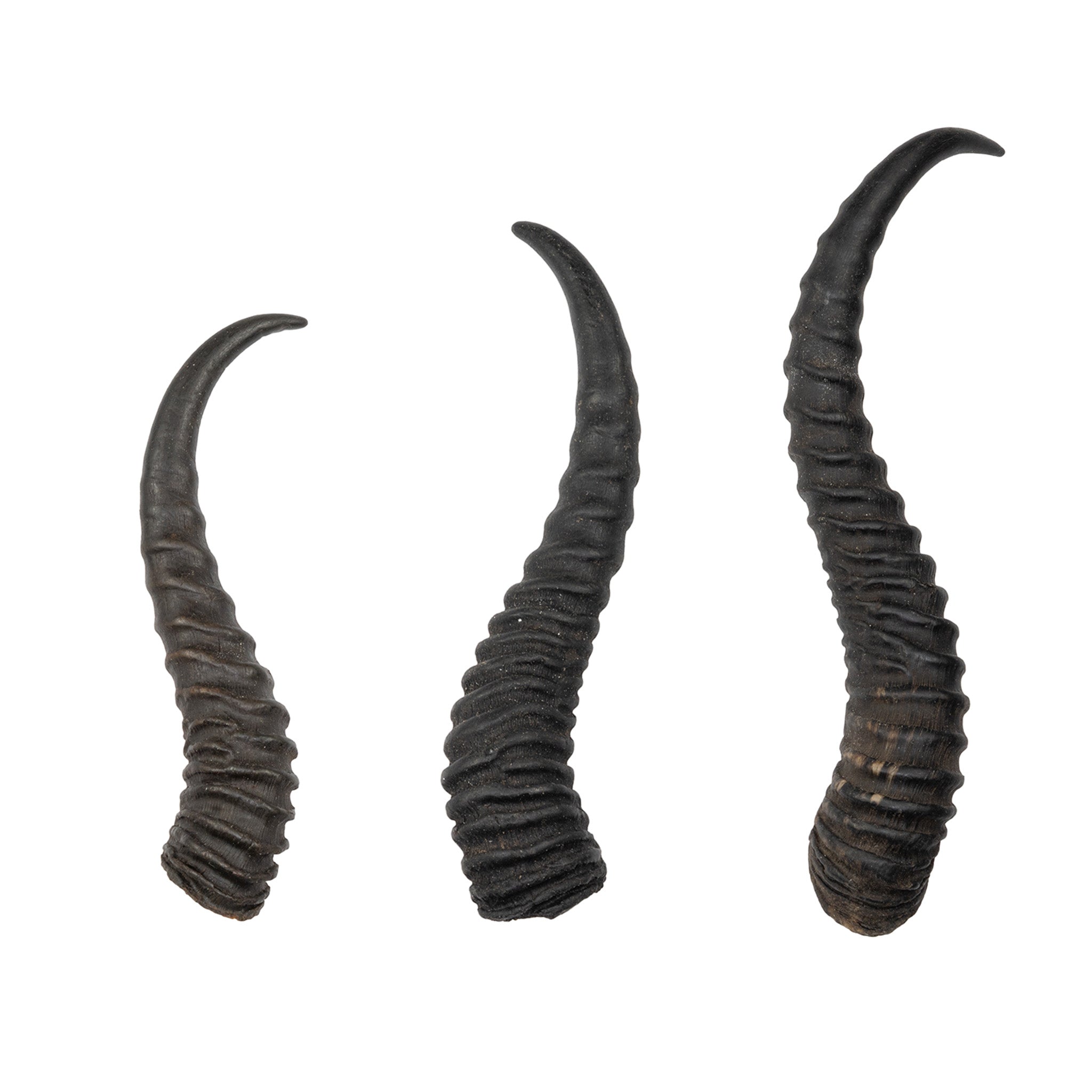 Realistic Horns