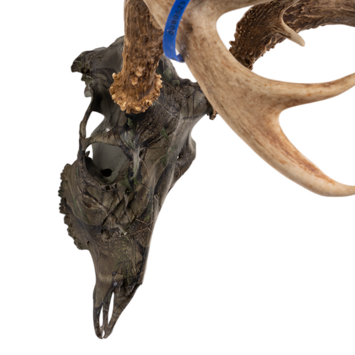Camo Deer Skull Mount