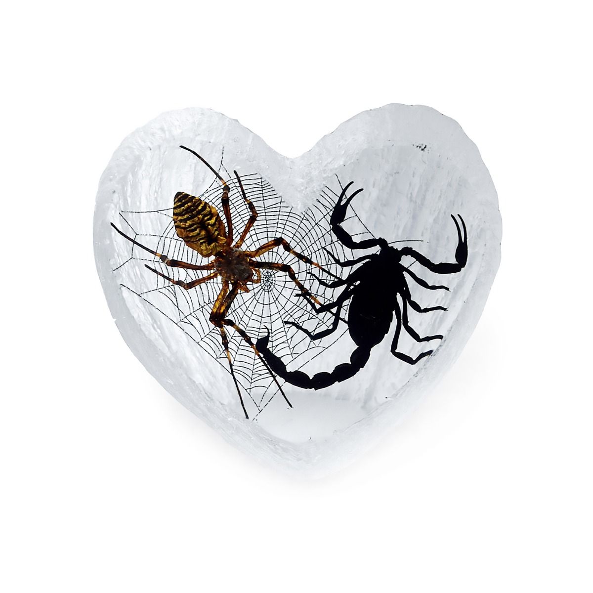 Scorpion Spider