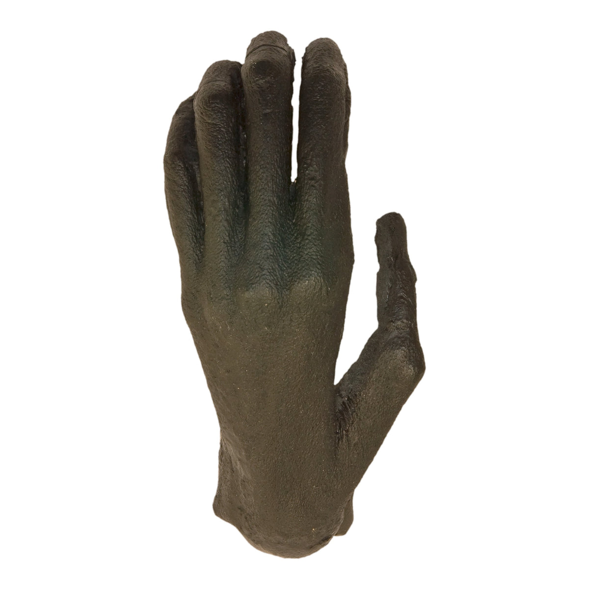 Replica White-handed Gibbon Hand For Sale — Skulls Unlimited ...