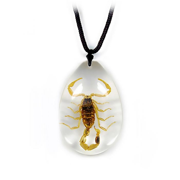 Real Golden Scorpion in Acrylic Teardrop Necklace — Skulls Unlimited ...